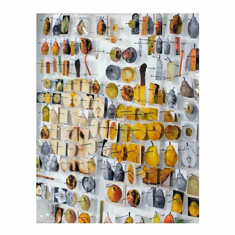 human hair, gelatin capsules & insect pins form uncanny dismantled ...