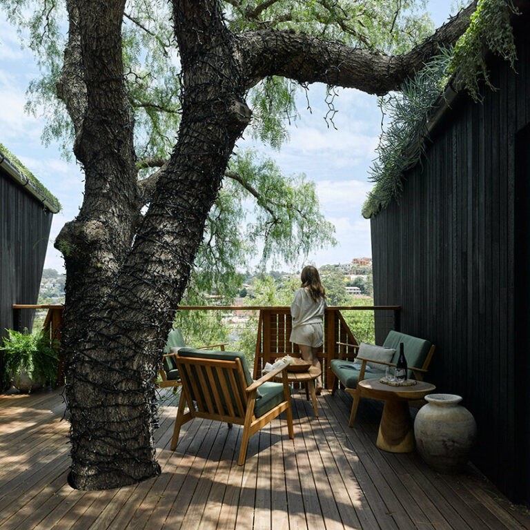 passive timber house by alex symes wraps around 60-year-old tree in ...