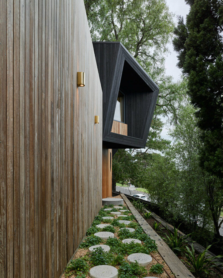 passive timber house by alex symes wraps around 60-year-old tree in ...