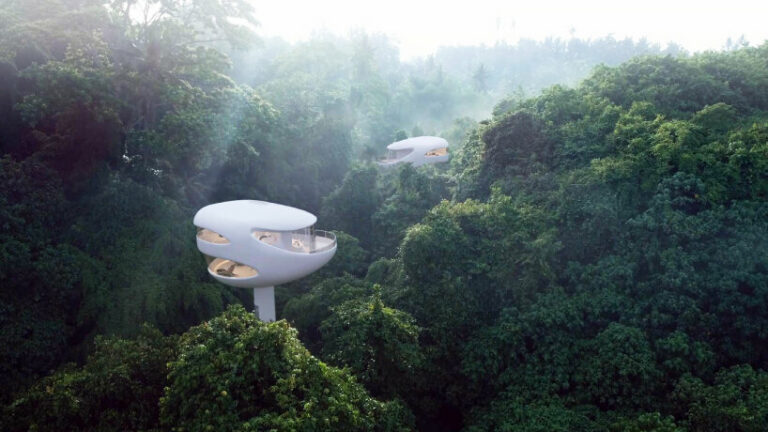 seashell-shaped floating pods offer deluxe residence in nature and on ...