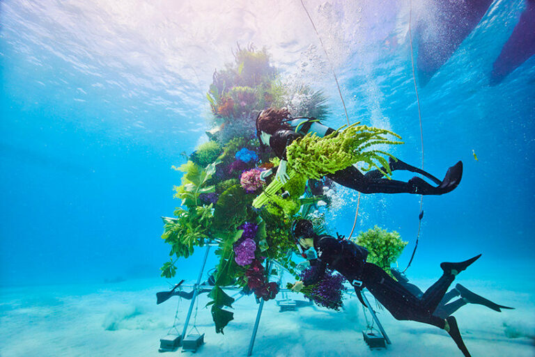 azuma makoto submerges botanical sculpture in clear blue waters