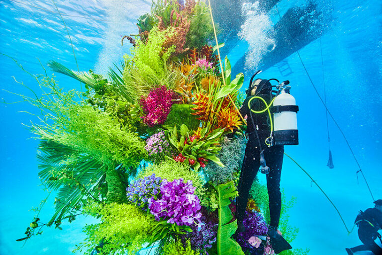 azuma makoto submerges botanical sculpture in clear blue waters