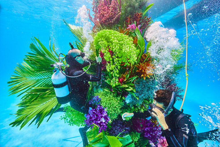 azuma makoto submerges botanical sculpture in clear blue waters