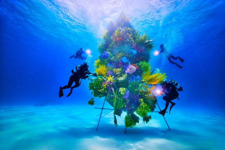 azuma makoto submerges botanical sculpture in clear blue waters