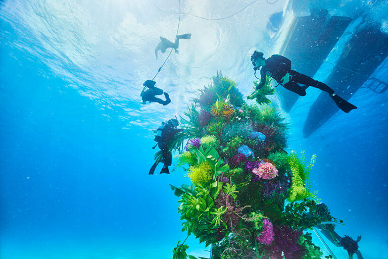 azuma makoto submerges botanical sculpture in clear blue waters