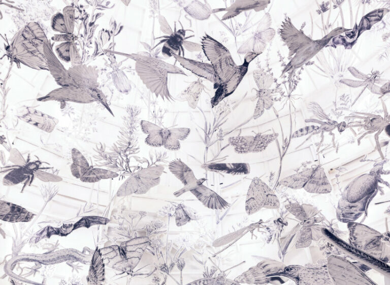 es devlin draws 243 endangered species for her illuminated dome ‘come ...