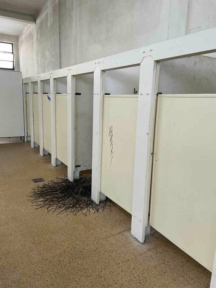 nari ward's 'gilded darkness' reflects today's socio-political issues