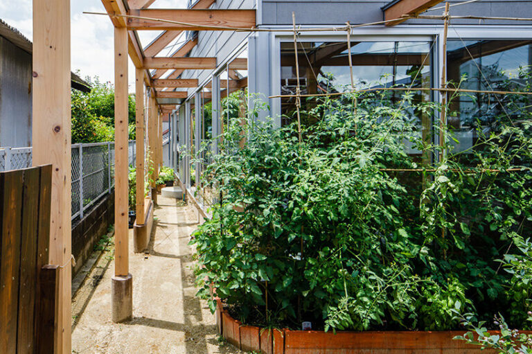 nLDK builds 'edible house' that grows alongside its vegetable garden in ...