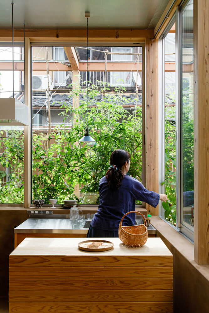 nLDK builds 'edible house' that grows alongside its vegetable garden in ...