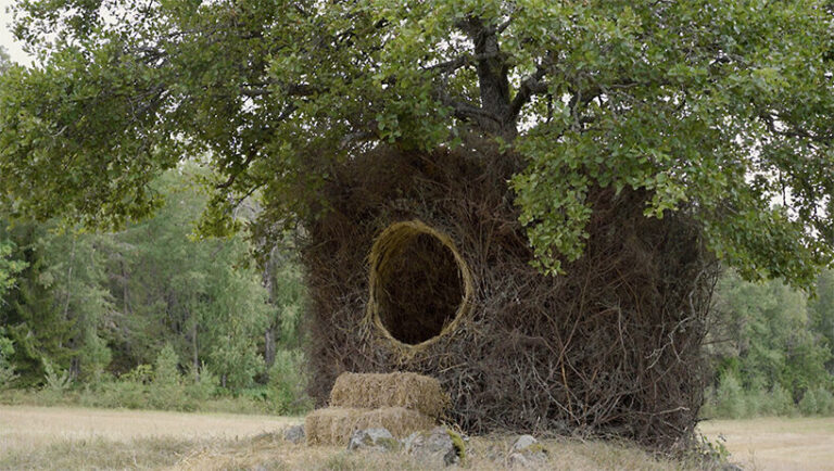 'one tree four seasons - season II' by ulf mejergren + antti laitinen