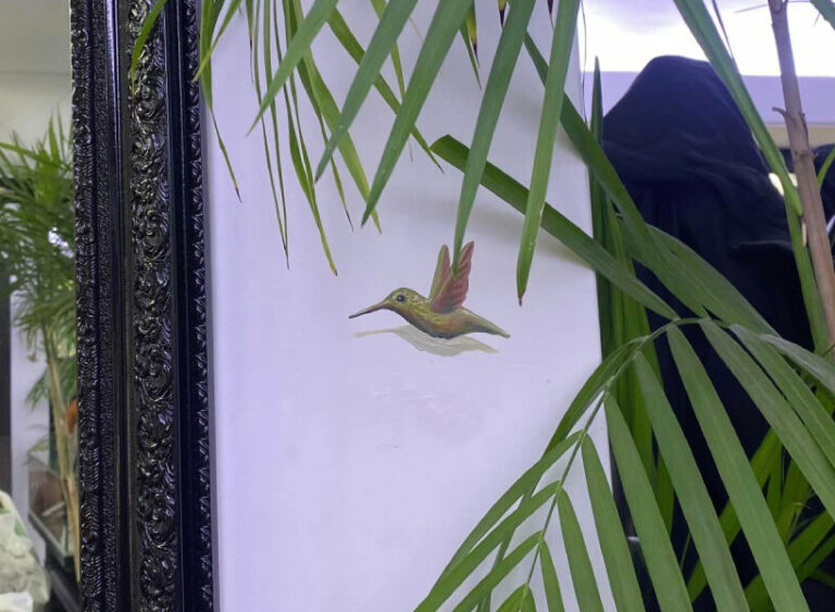 artist secretly paints hummingbirds on walls in peru for people to discover