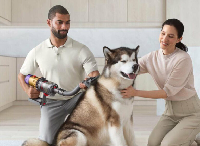 dyson grooms fluffy pets with vacuum kit for no-mess cleaning