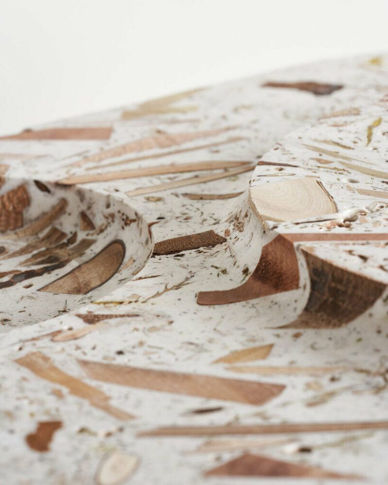 forestbank is a new type of wood made from tree debris, leaves, seeds ...