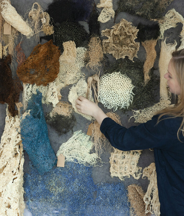 zena holloway's bio-designs are grown entirely from roots