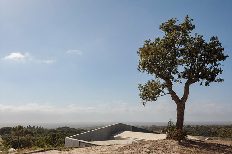 geometric cut-outs frame atlantic views for aires mateus' 'pa.te.os' in ...