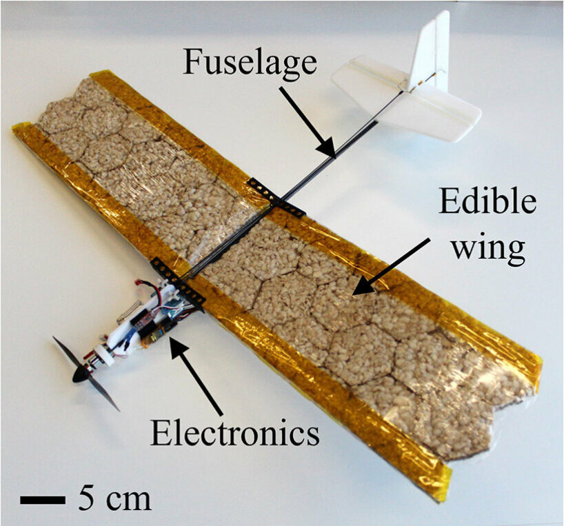 this edible drone can help keep injured mountaineers alive while they ...