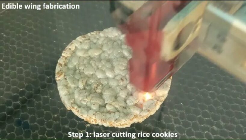 this edible drone can help keep injured mountaineers alive while they wait for help to arrive