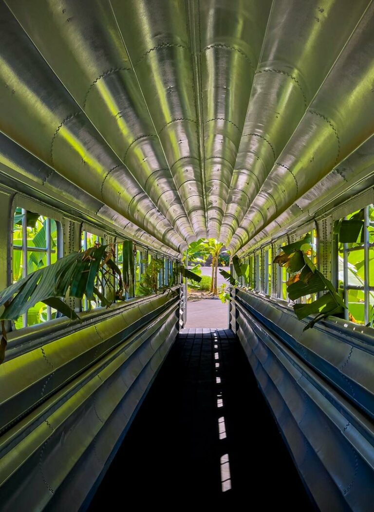 banana garden by fernando menis takes over former oil tank in spain