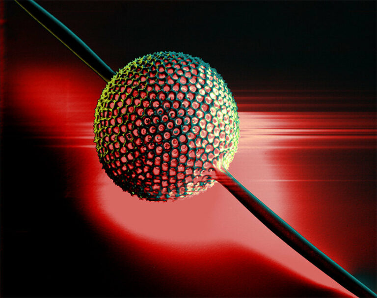 preeminent figure in microphotography, manfred p. kage, drops genesis NFTs