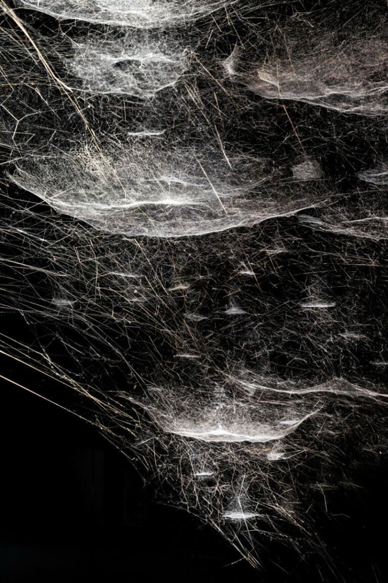 tomás saraceno exhibits oceans of air at MONA in tasmania