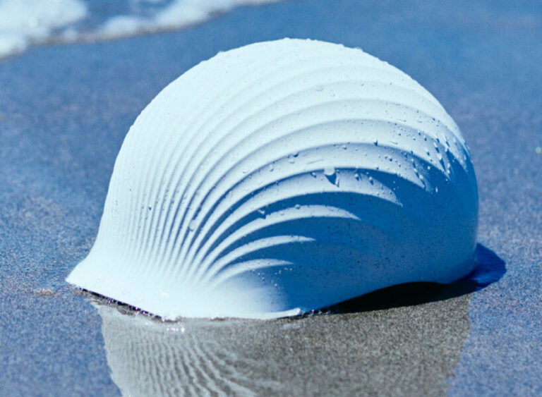 sturdy helmet 'SHELLMET' recycles discarded scallop shells from landfills