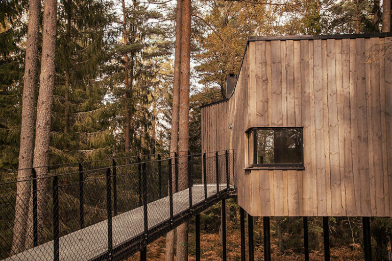 the trakt forest hotel hovers amid treetops in swedish pinewoods