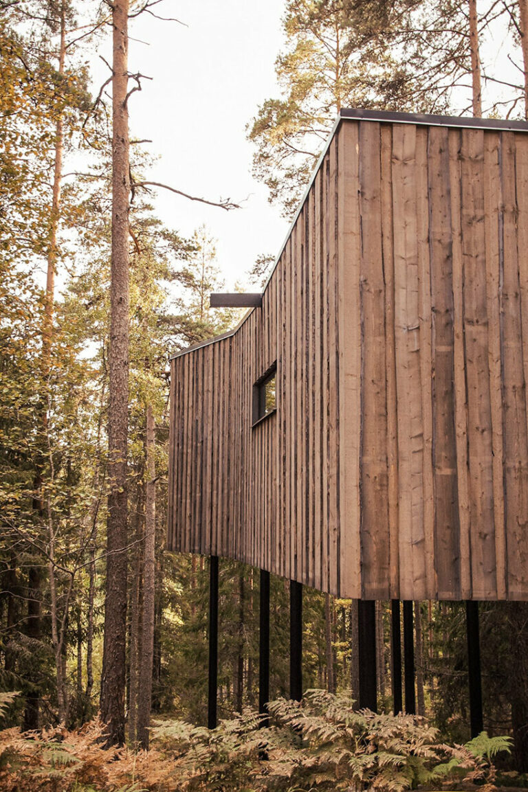 the trakt forest hotel hovers amid treetops in swedish pinewoods