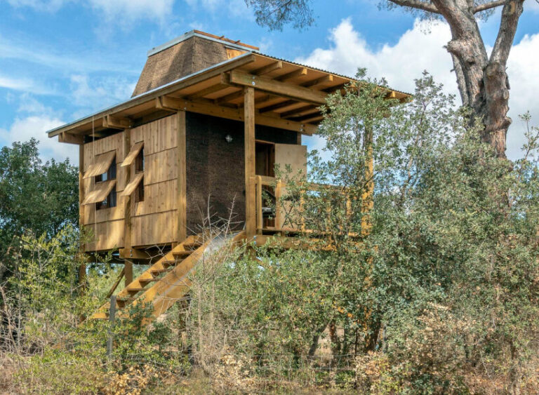madeiguincho tops wooden shack 'columba' with skylight in sunshine ...