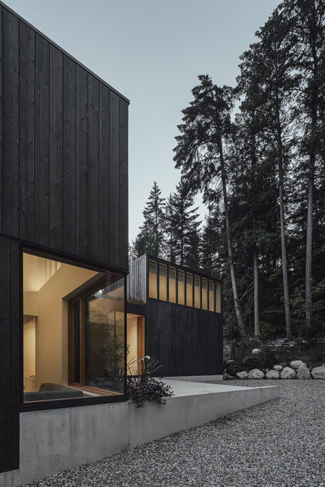 'camera house' by leckie studio captures light like an optical device