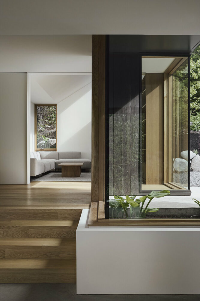 'camera house' by leckie studio captures light like an optical device