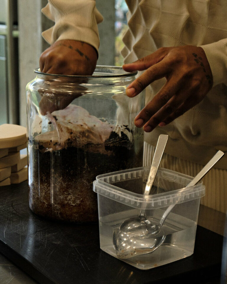 ex-NOMA fermentation chief 'david zilber' cooks up food with bacteria ...