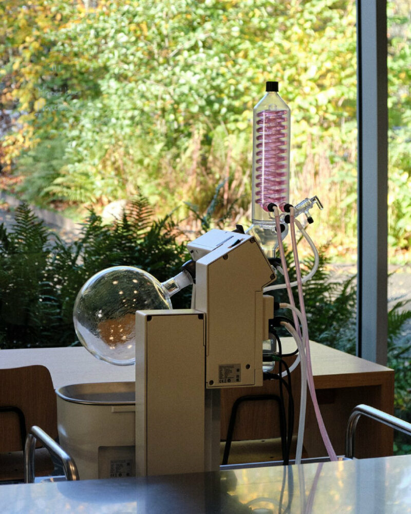 ex-NOMA fermentation chief 'david zilber' cooks up food with bacteria ...