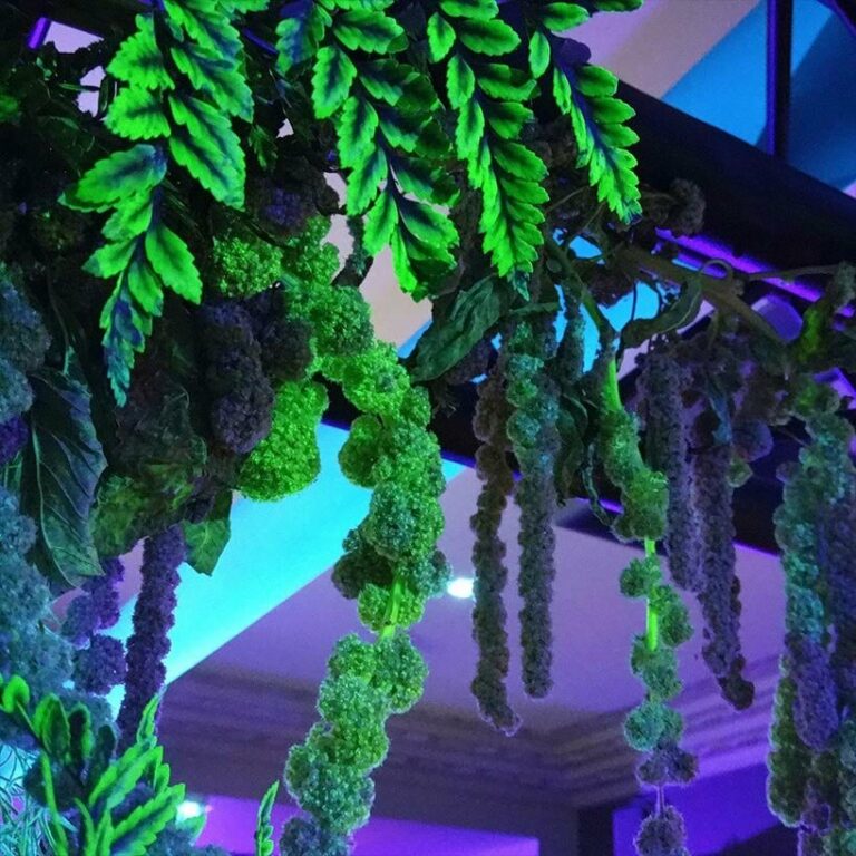 bio-based serum transforms plants into fluorescent artwork