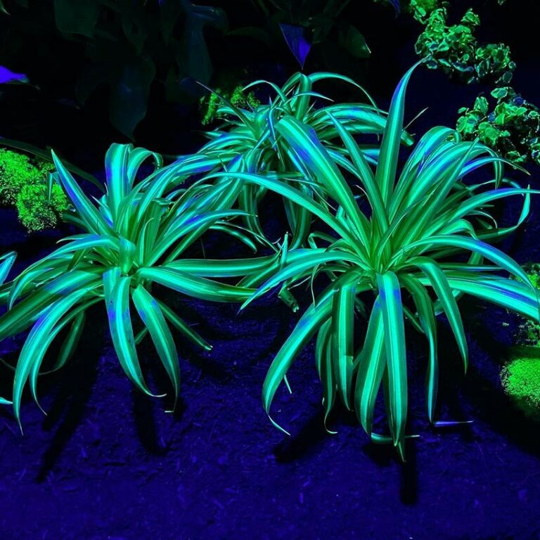 bio-based serum transforms plants into fluorescent artwork