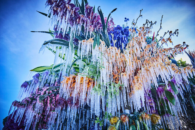 azuma makoto freezes vibrant bouquets of flowers in new sculptural ice ...