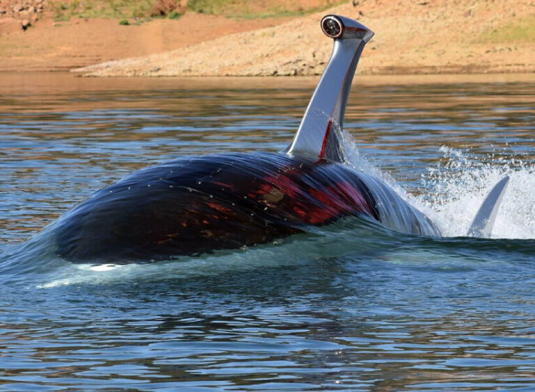 submersible 'jet shark' prototype swiftly sinks, glides, and leaps ...