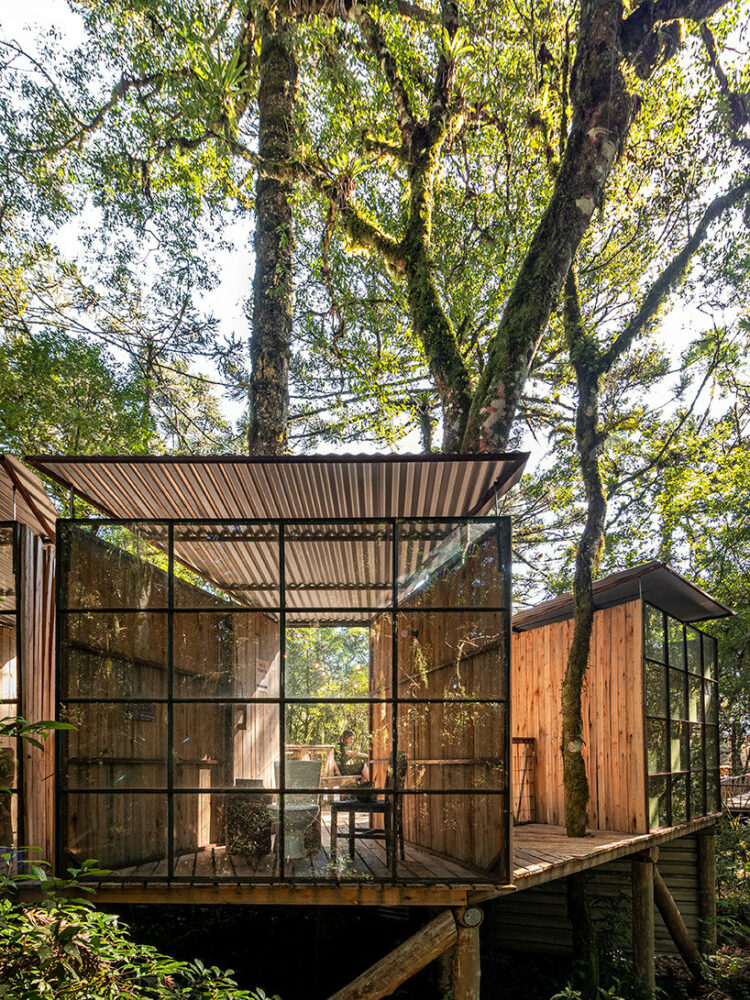 a set of wooden restroom cabins peeks through the treetops of native ...