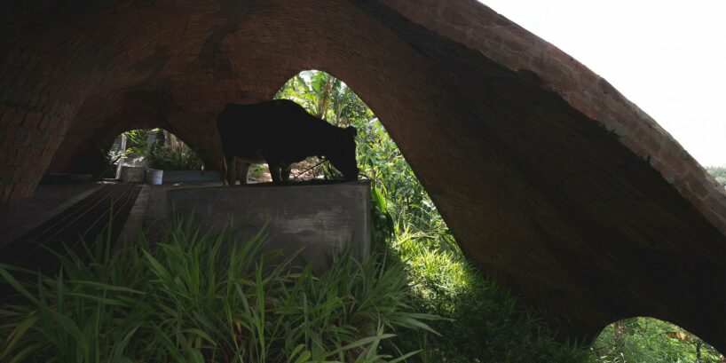 earthscape studio nestles brick vaulted cowshed into kerala hillside
