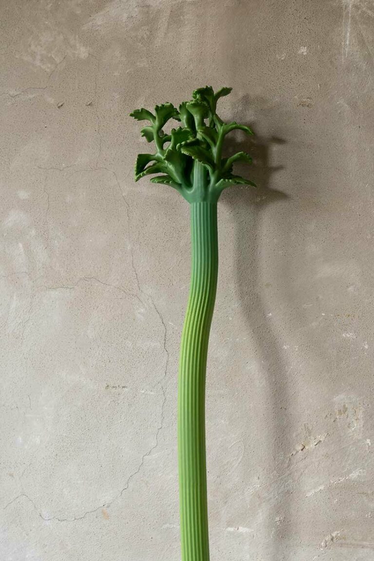 spotless bananas & avocados turn into functional objects in robert ...