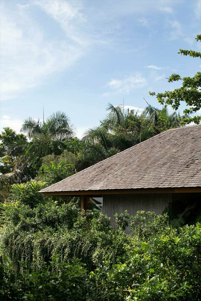 perched amidst a forest in bali, the ravine dwelling blurs the line ...