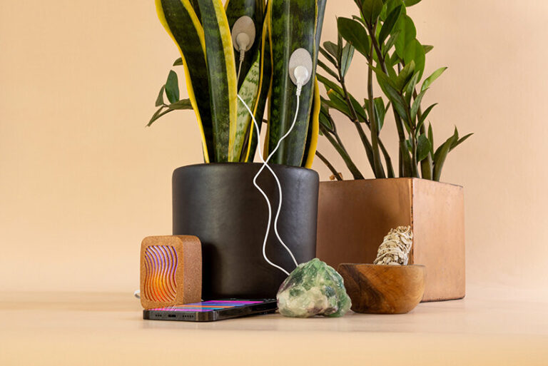 plantwave converts biorhythms into music for indoor environments