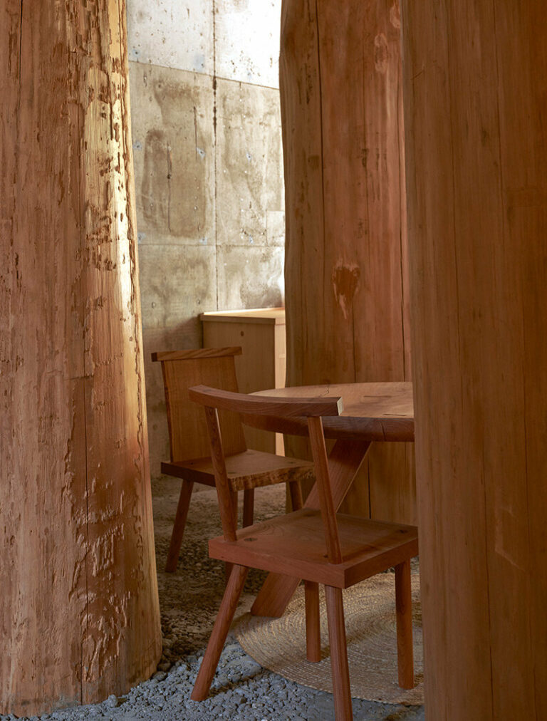 large tree trunks arrow through tomoaki uno's peaceful forest-like ...