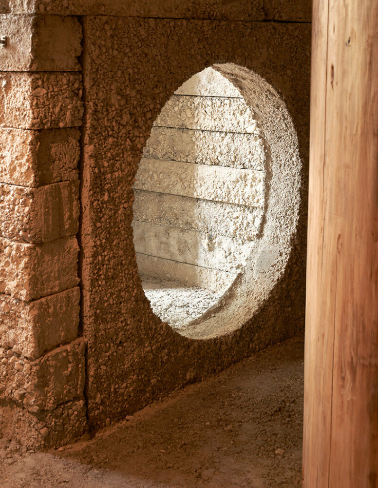 large tree trunks arrow through tomoaki uno's peaceful forest-like ...