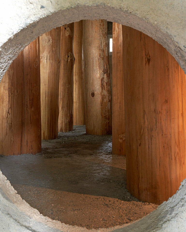 large tree trunks arrow through tomoaki uno's peaceful forest-like ...
