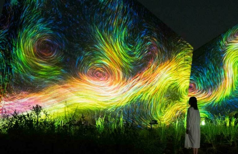 nemophila: teamlab's digital art installation blooms & glows at ...