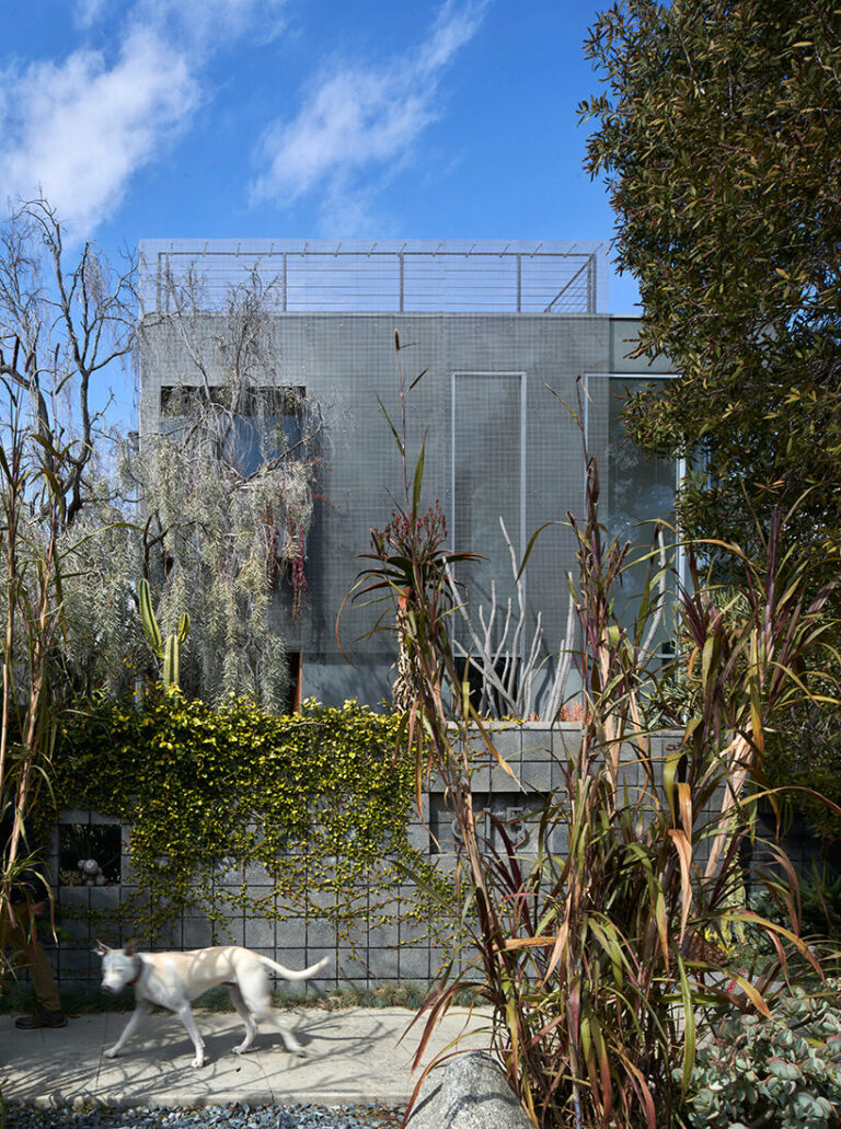 urban garden oasis in LA: interview with matthew royce on designing ...