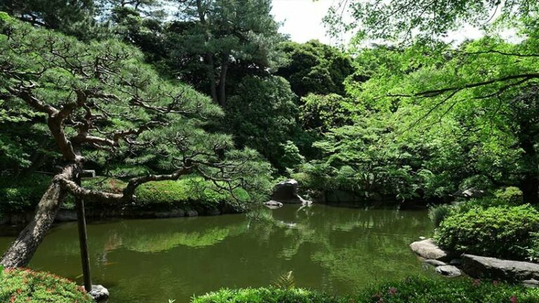 kazuyo sejima curates this year's prada mode landing in tokyo teien art ...