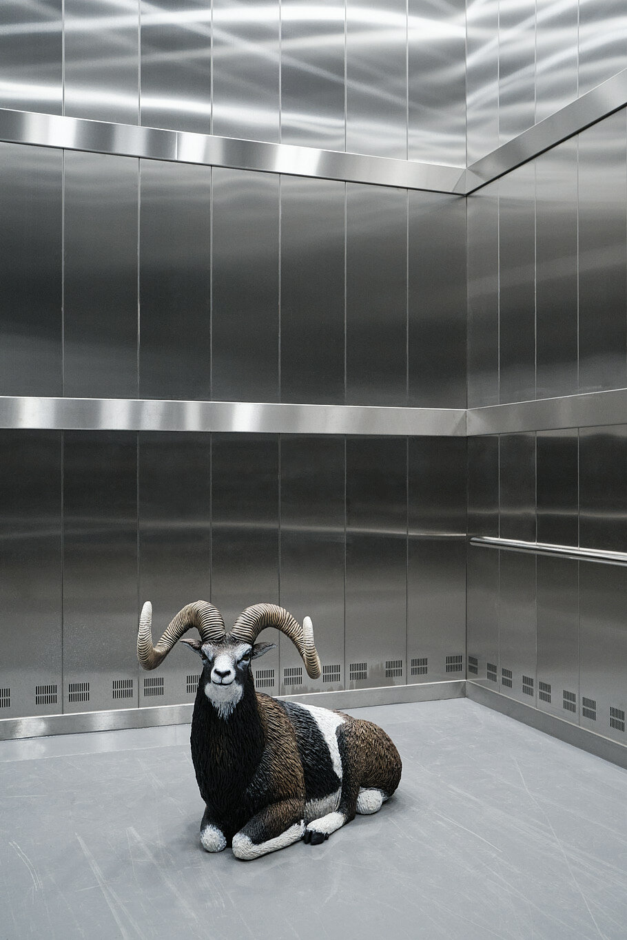 formafantasma's 'oltre terra. why wool matters' explores the co ...