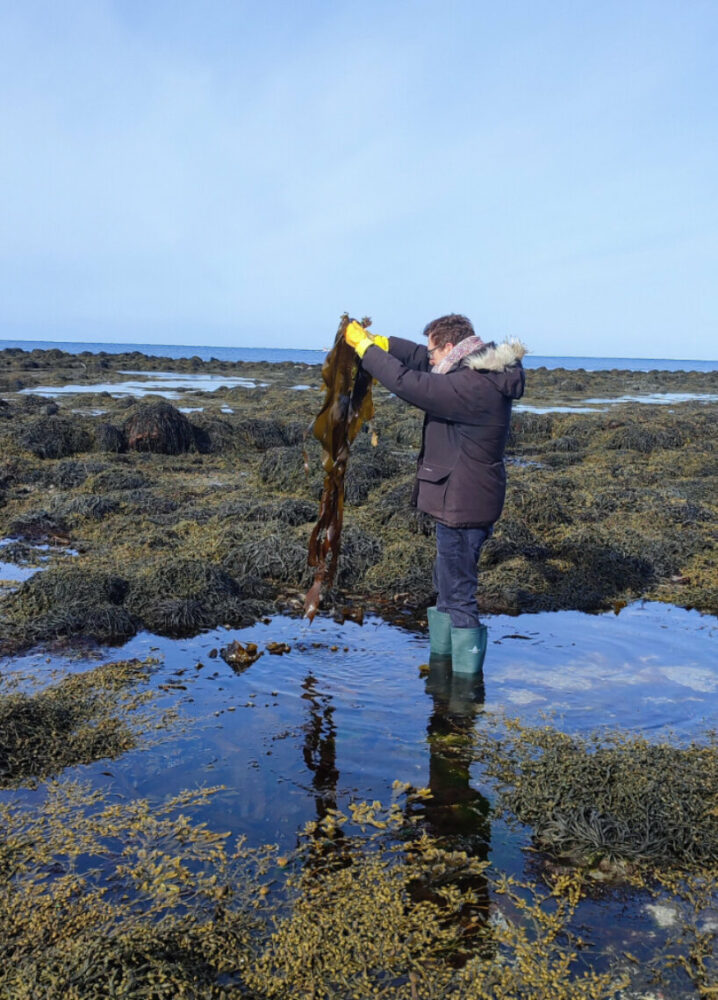 streetwear made from preserved seaweed shows algae's future in fashion ...