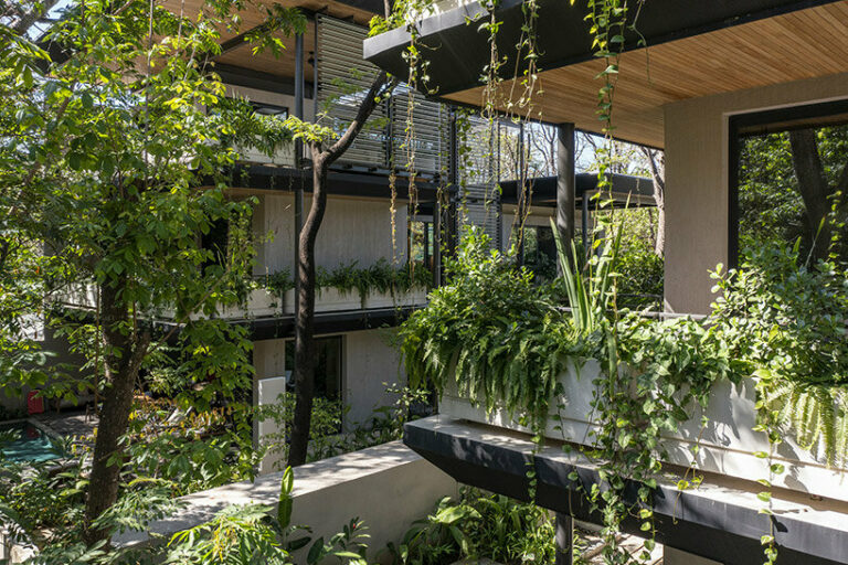 studio saxe hides costa rican surf residences in verdant gardens